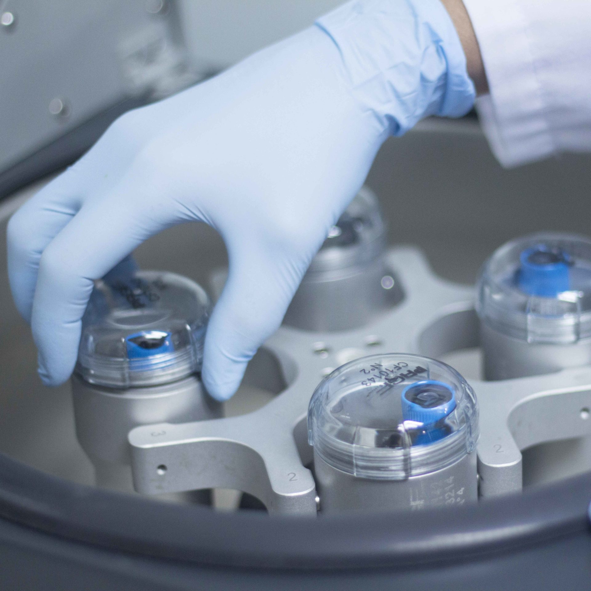 PRGF - Studio Dentistico Amadental